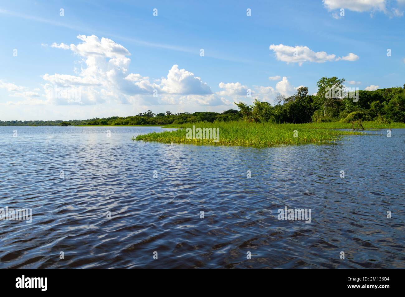 Amazing water landscape of the Amazonas river in the middle of the rain ...