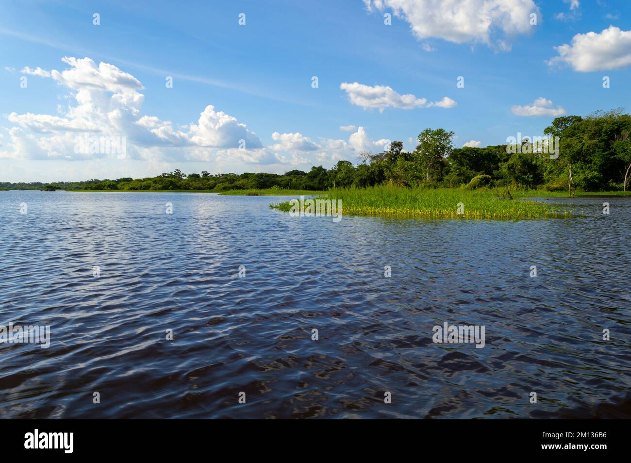 Amazing water landscape of the Amazonas river in the middle of the rain ...