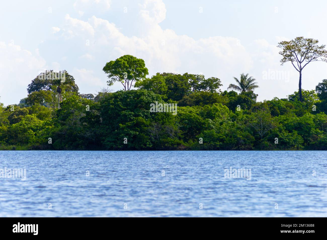 Amazing water landscape of the Amazonas river in the middle of the rain ...