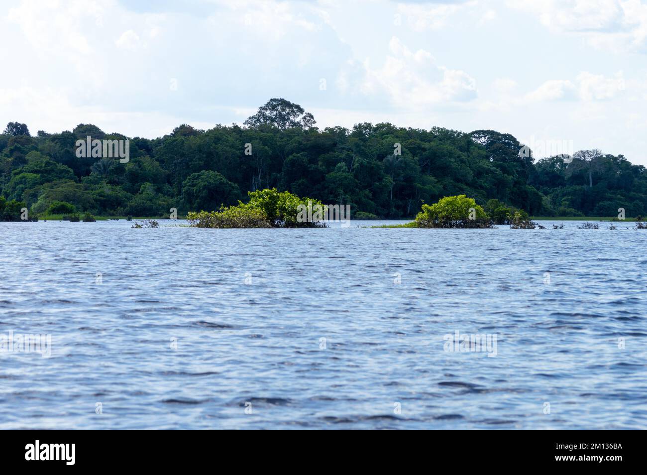 Amazing water landscape of the Amazonas river in the middle of the rain ...