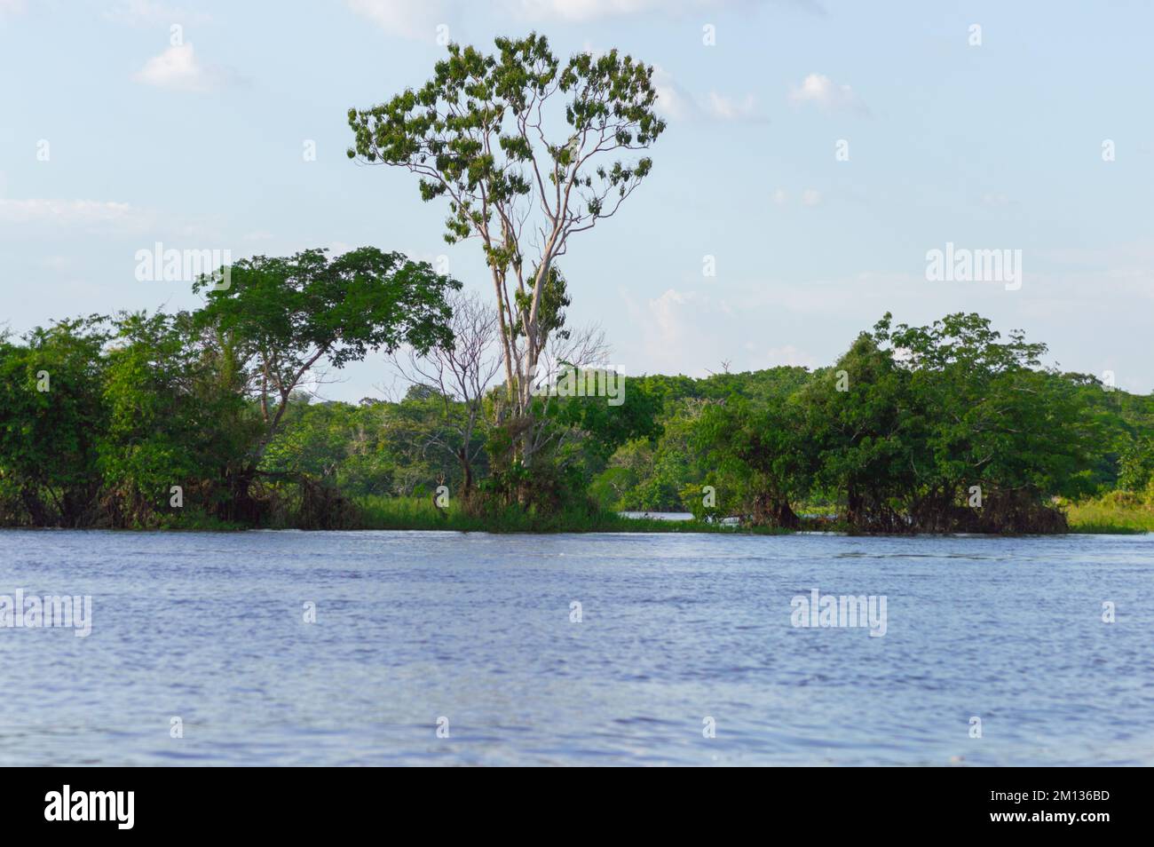 Amazing water landscape of the Amazonas river in the middle of the rain ...