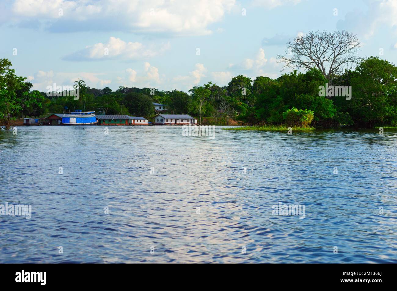 Amazing water landscape of the Amazonas river in the middle of the rain ...
