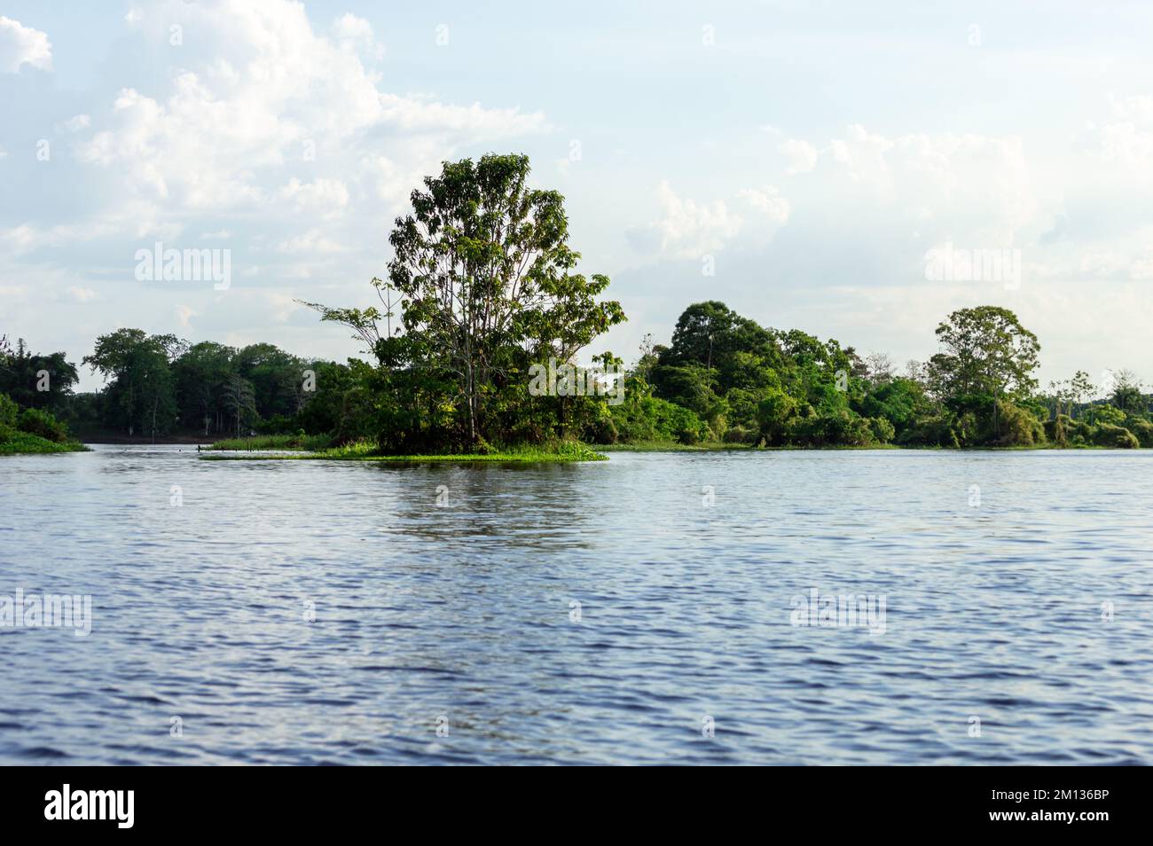 Amazing water landscape of the Amazonas river in the middle of the rain ...