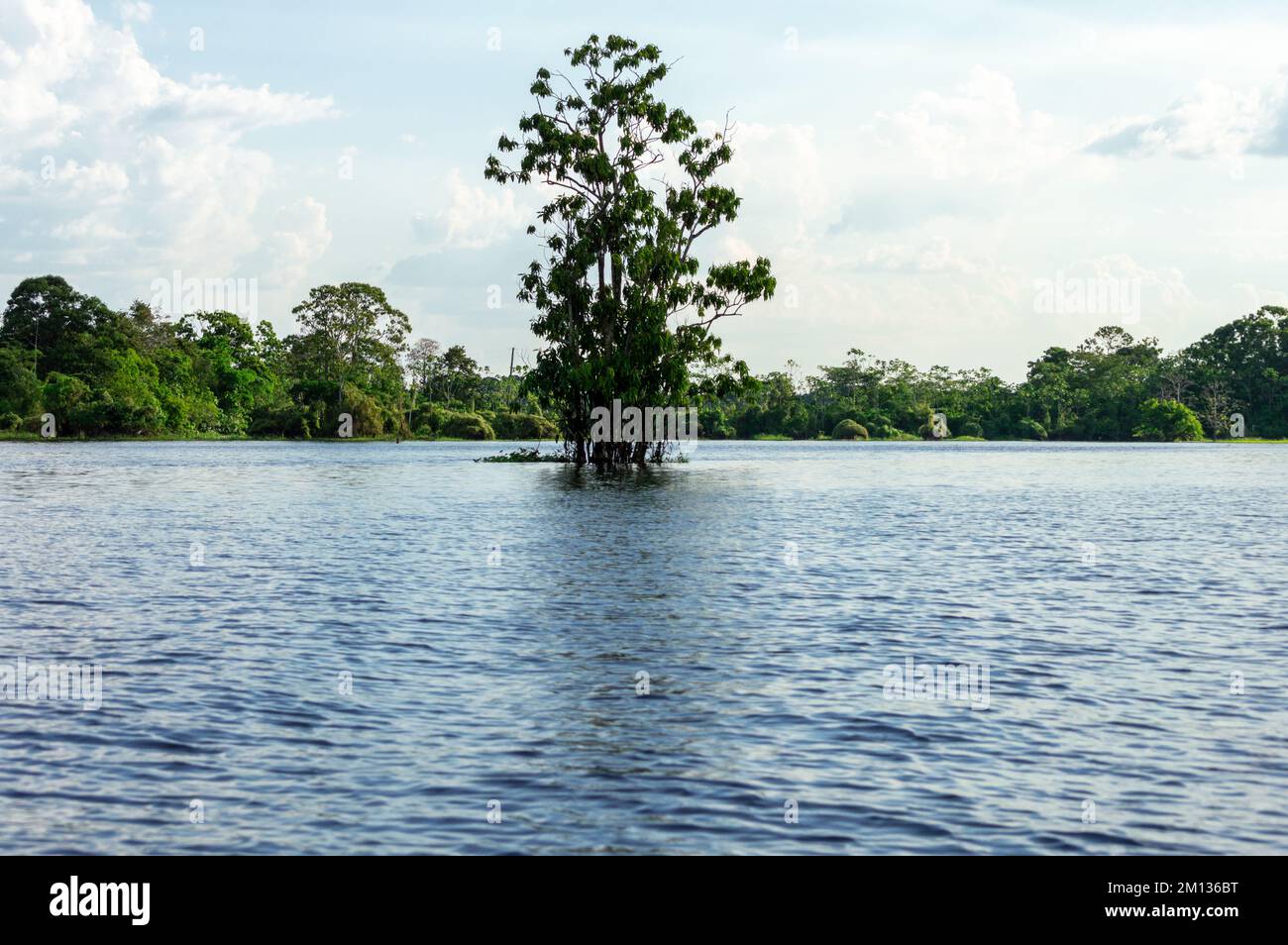 Amazing water landscape of the Amazonas river in the middle of the rain ...