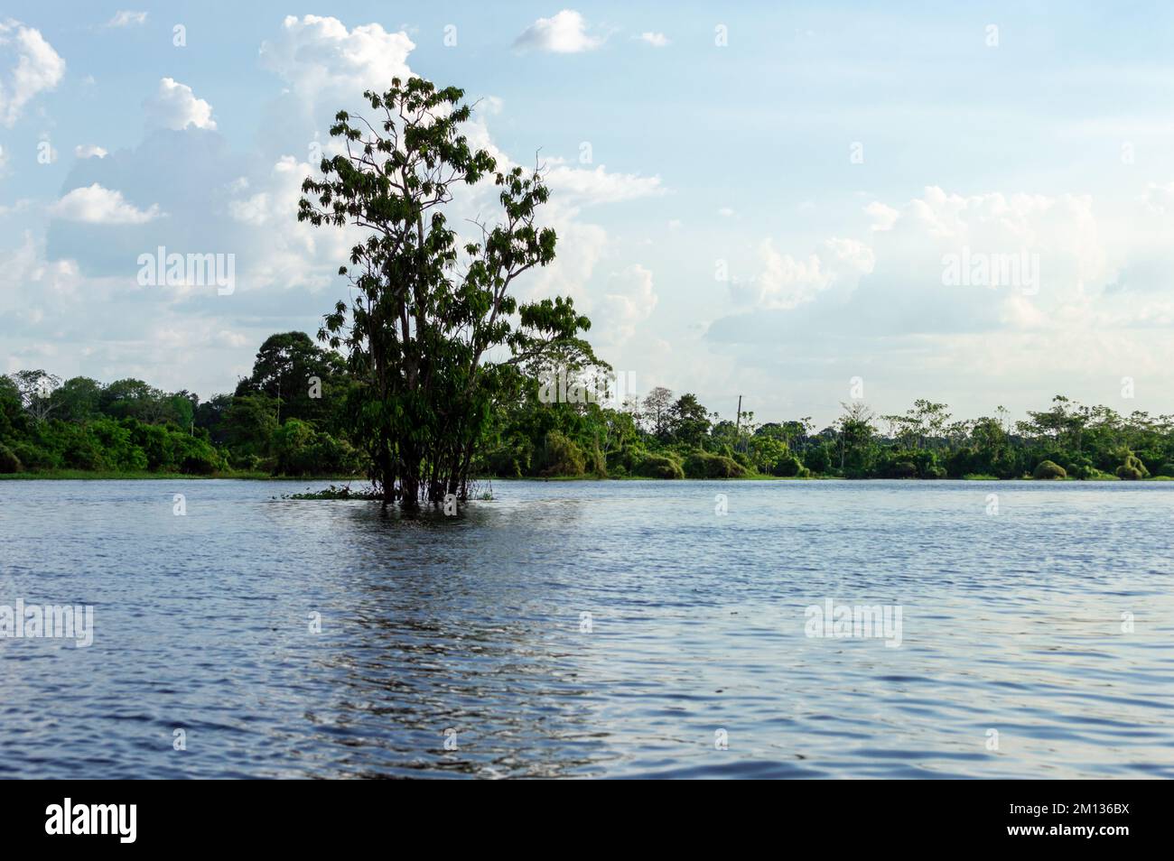 Amazing water landscape of the Amazonas river in the middle of the rain ...