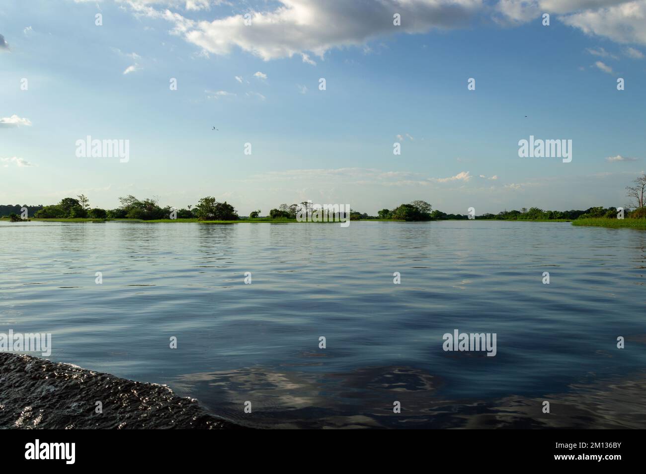 Amazing water landscape of the Amazonas river in the middle of the rain ...