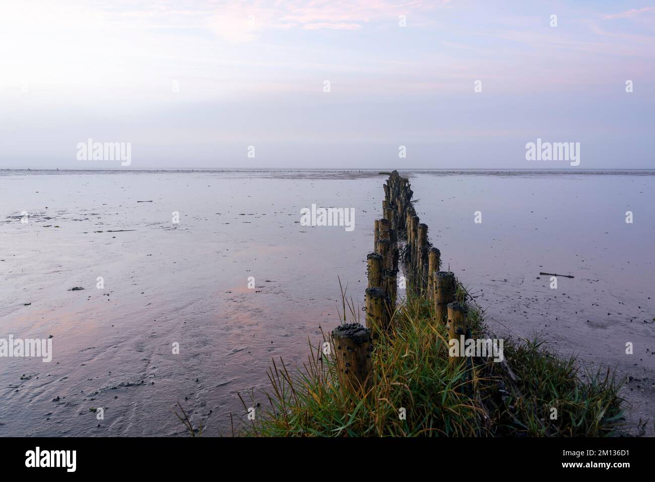 Danish wadden sea national park hi-res stock photography and images - Alamy