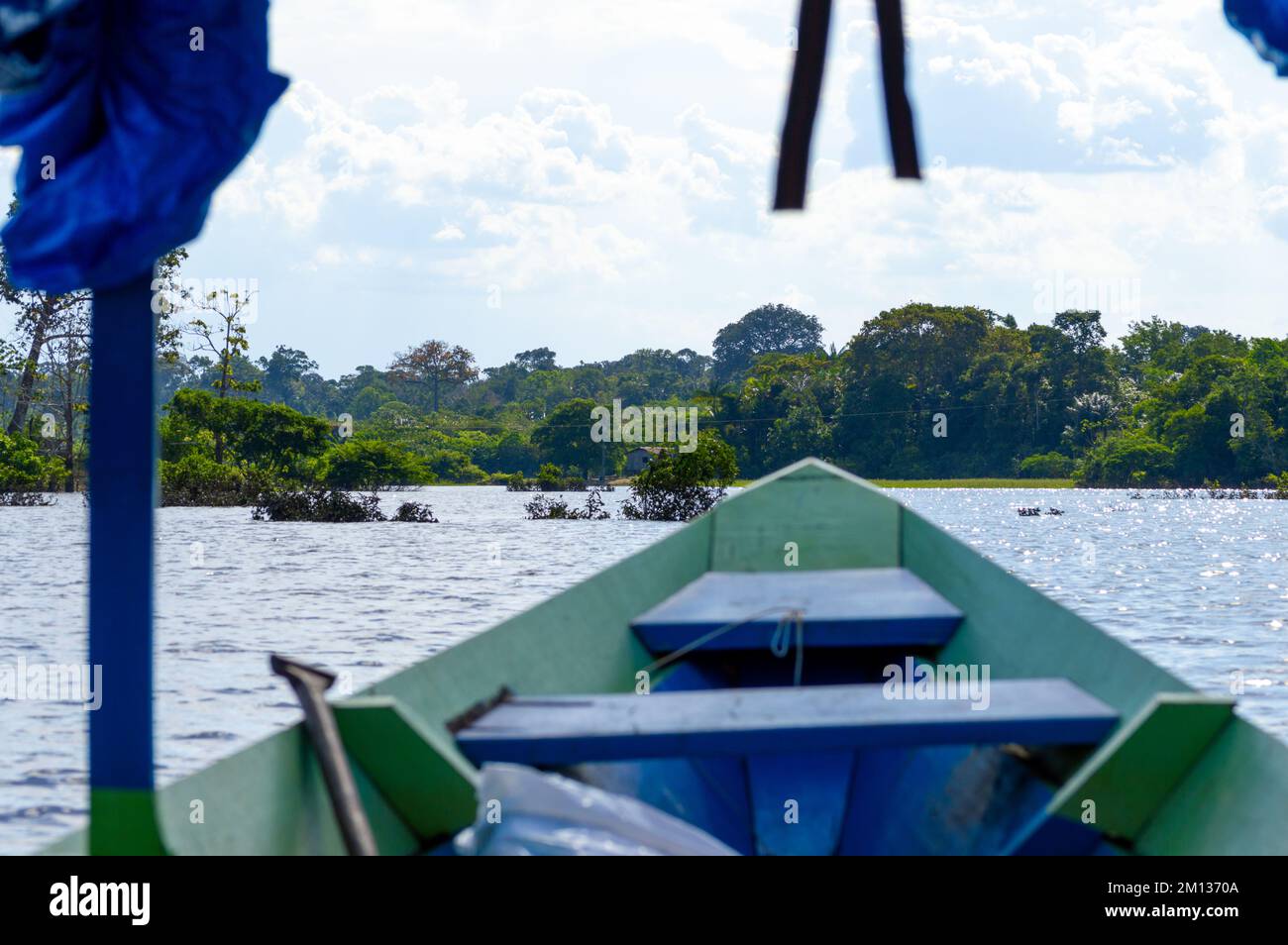 Boat trip along the Amazon river inside the rain forest in Manaus ...
