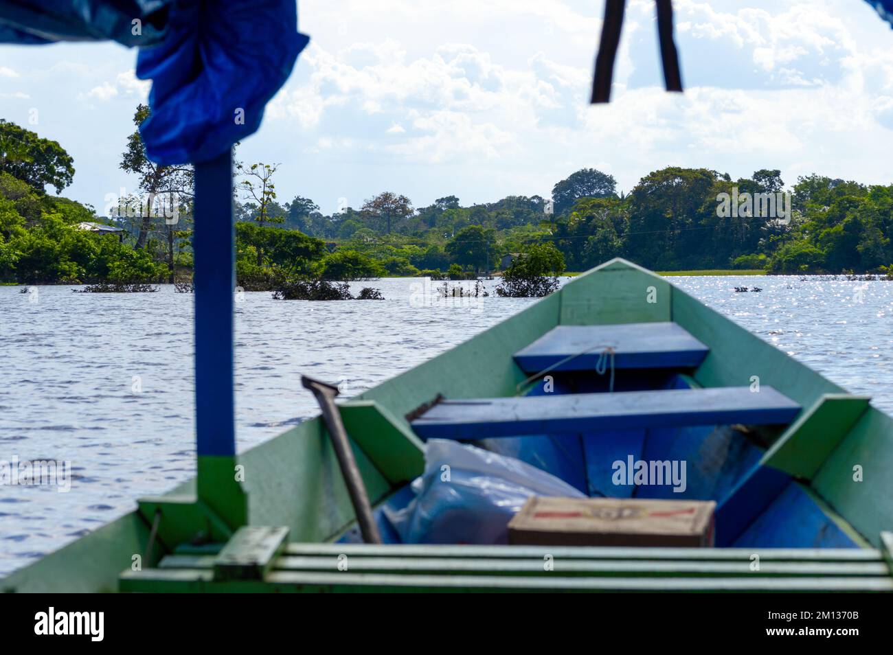 Boat trip along the Amazon river inside the rain forest in Manaus ...