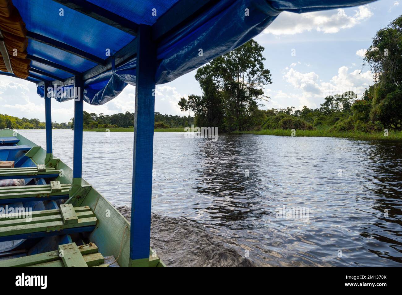 Boat trip along the Amazon river inside the rain forest in Manaus ...