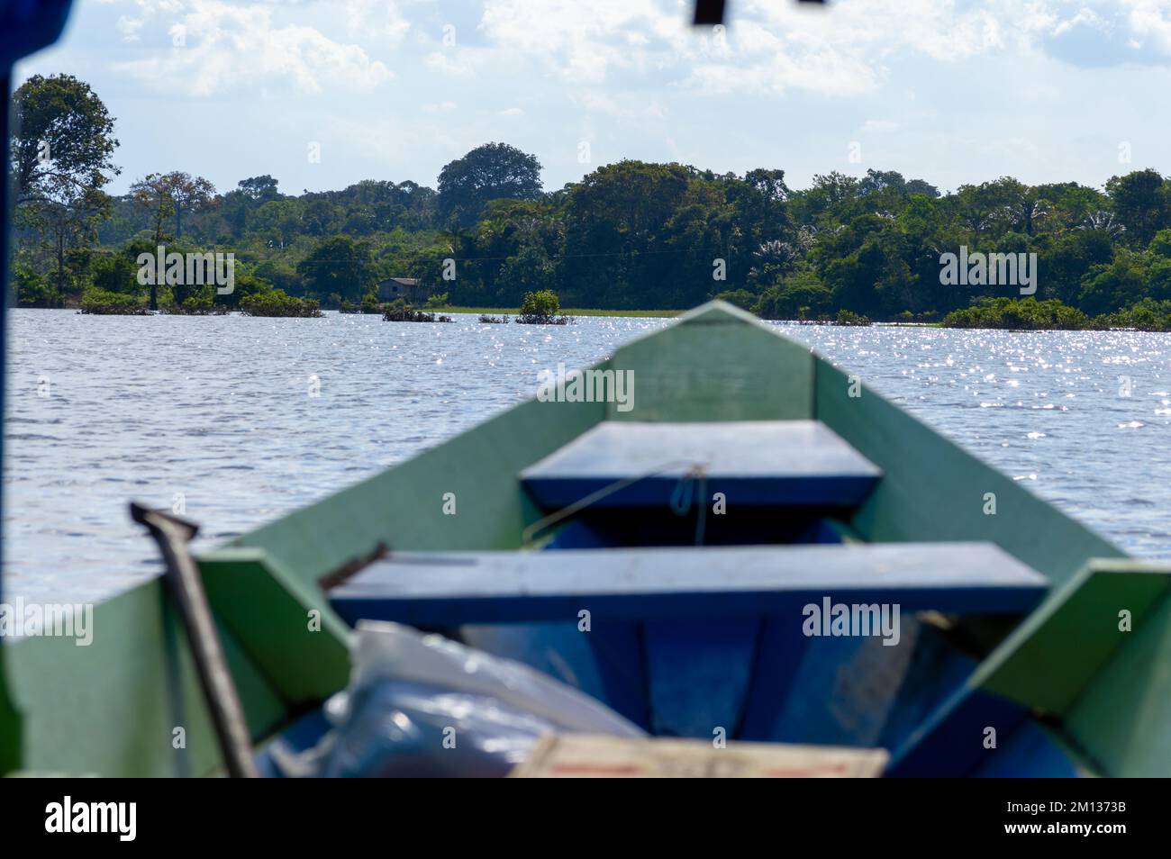 Boat trip along the Amazon river inside the rain forest in Manaus ...