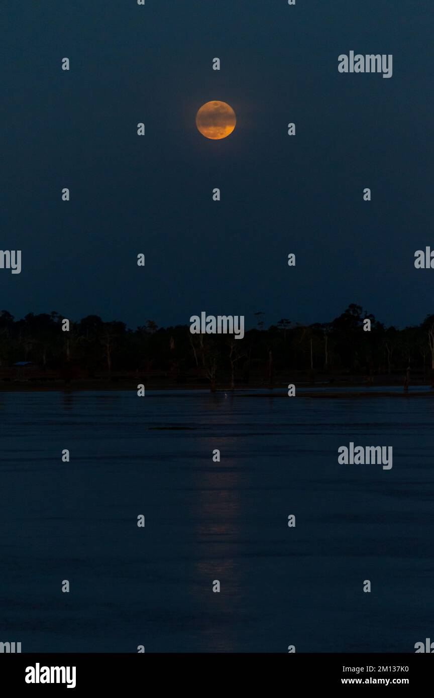 Full moon night in the Amazon forest along the Amazon river Stock Photo ...