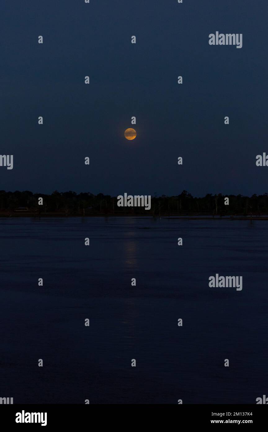 Full moon night in the Amazon forest along the Amazon river Stock Photo ...