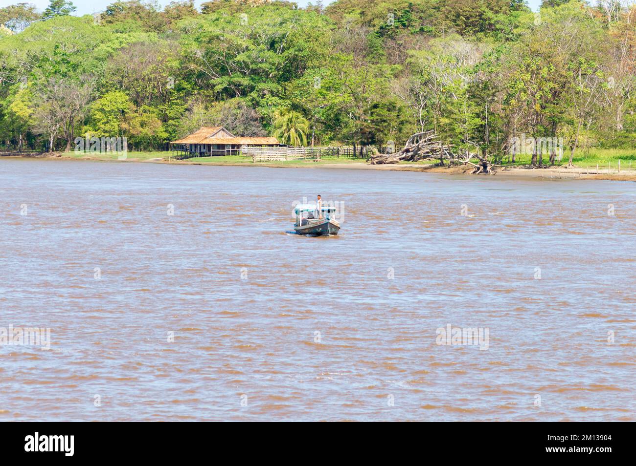 Small animal farm and animal transportation on the river banks of the ...