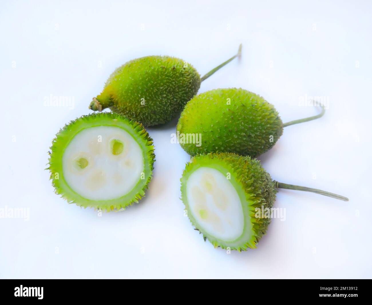 Haagala hi-res stock photography and images - Alamy