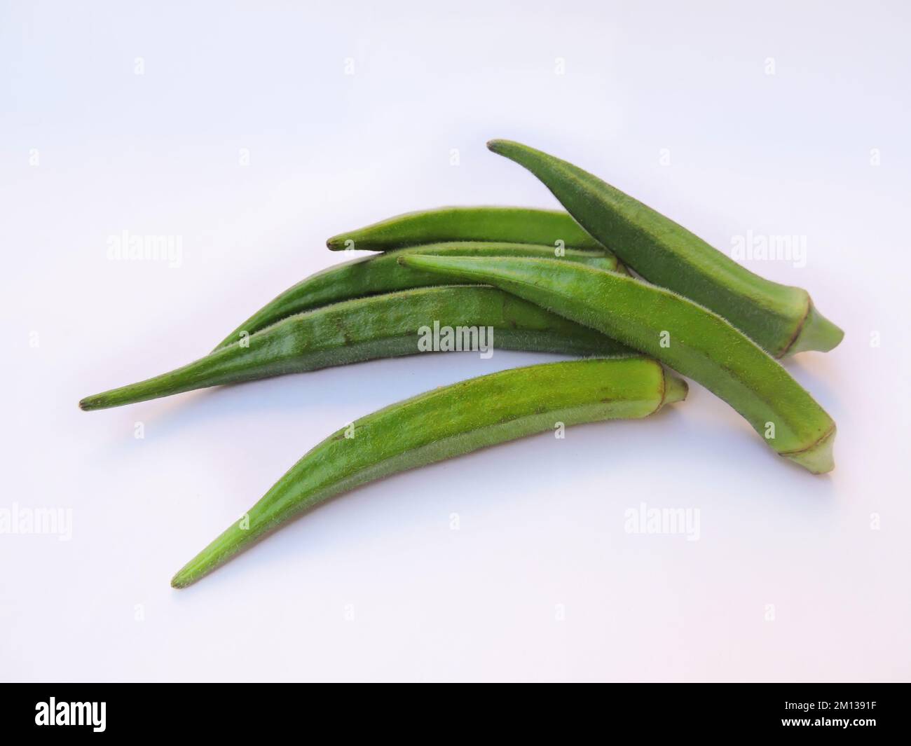 Bendakkai hi-res stock photography and images - Alamy