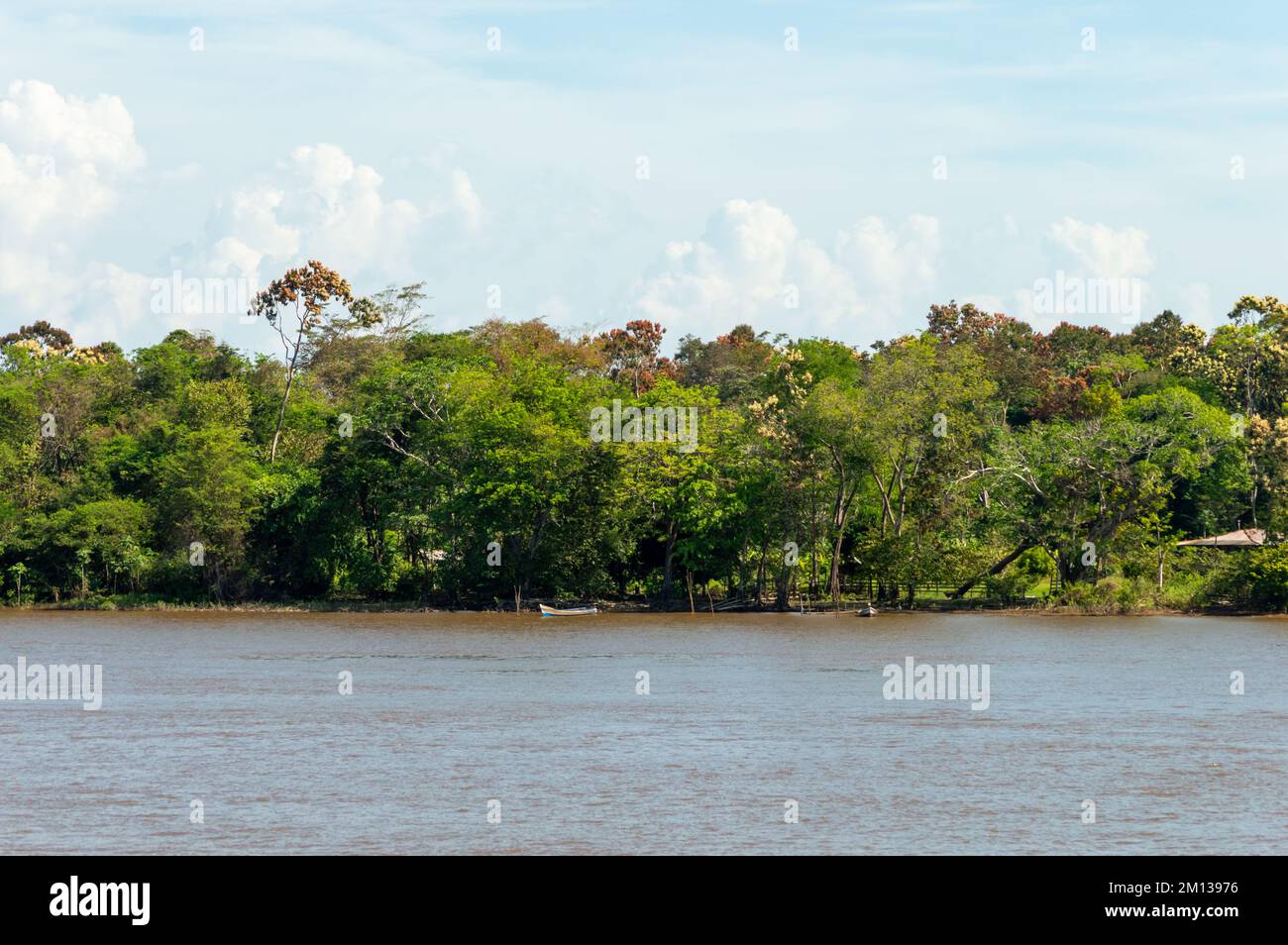 Tropical water landscape of the Rio Amazonas in Brazil seen from a ...