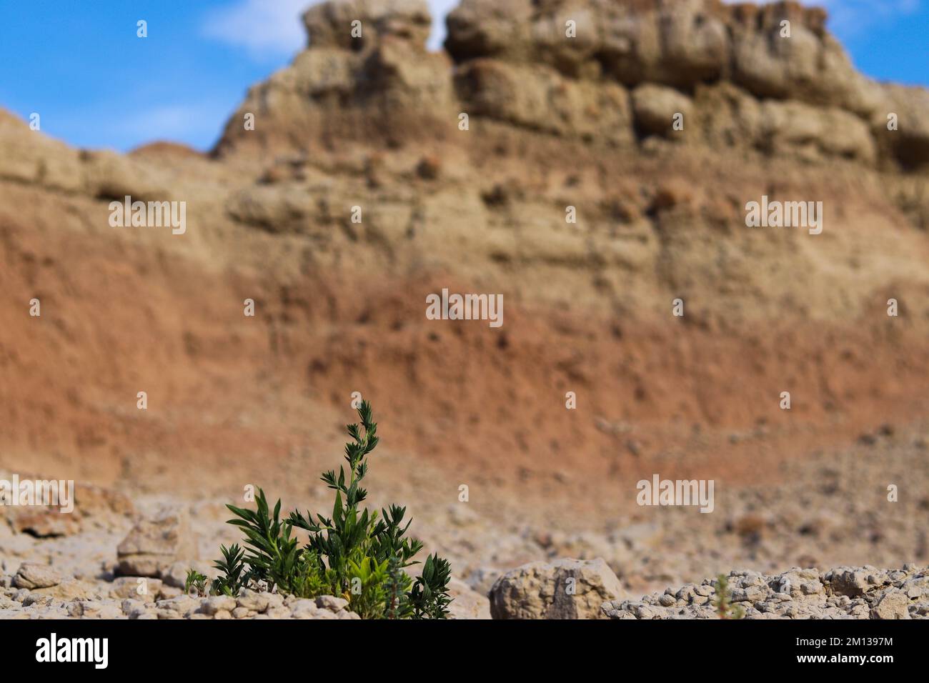 Beautiful landscape arid mountain hi-res stock photography and images ...