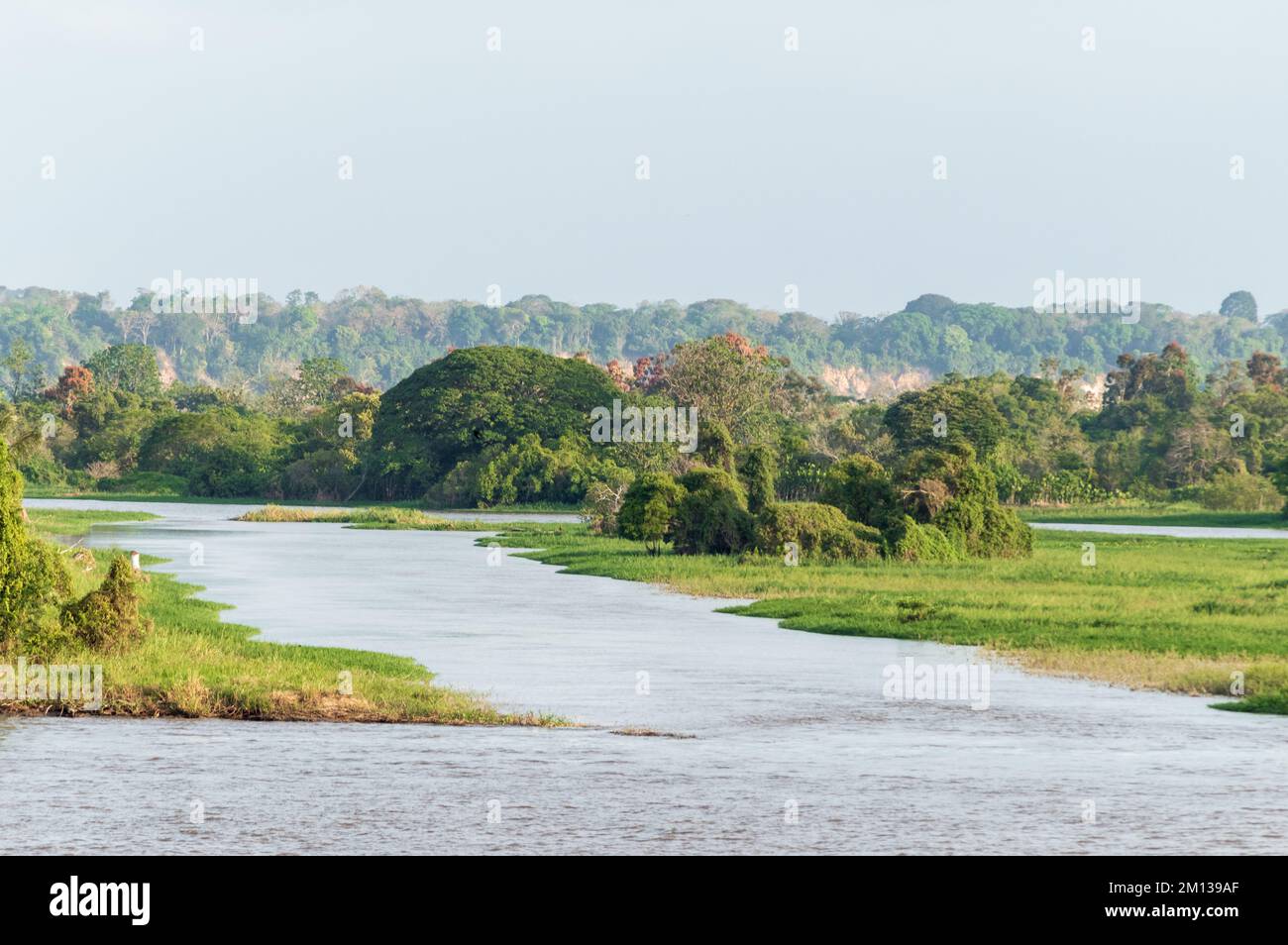 Tropical water landscape of the Rio Amazonas in Brazil seen from a ...