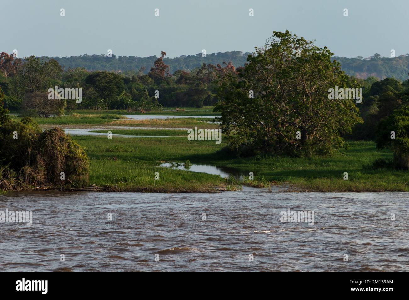 Tropical water landscape of the Rio Amazonas in Brazil seen from a ...