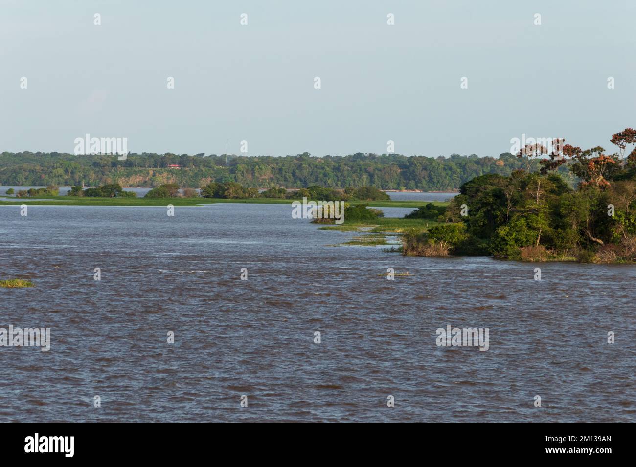 Tropical water landscape of the Rio Amazonas in Brazil seen from a ...
