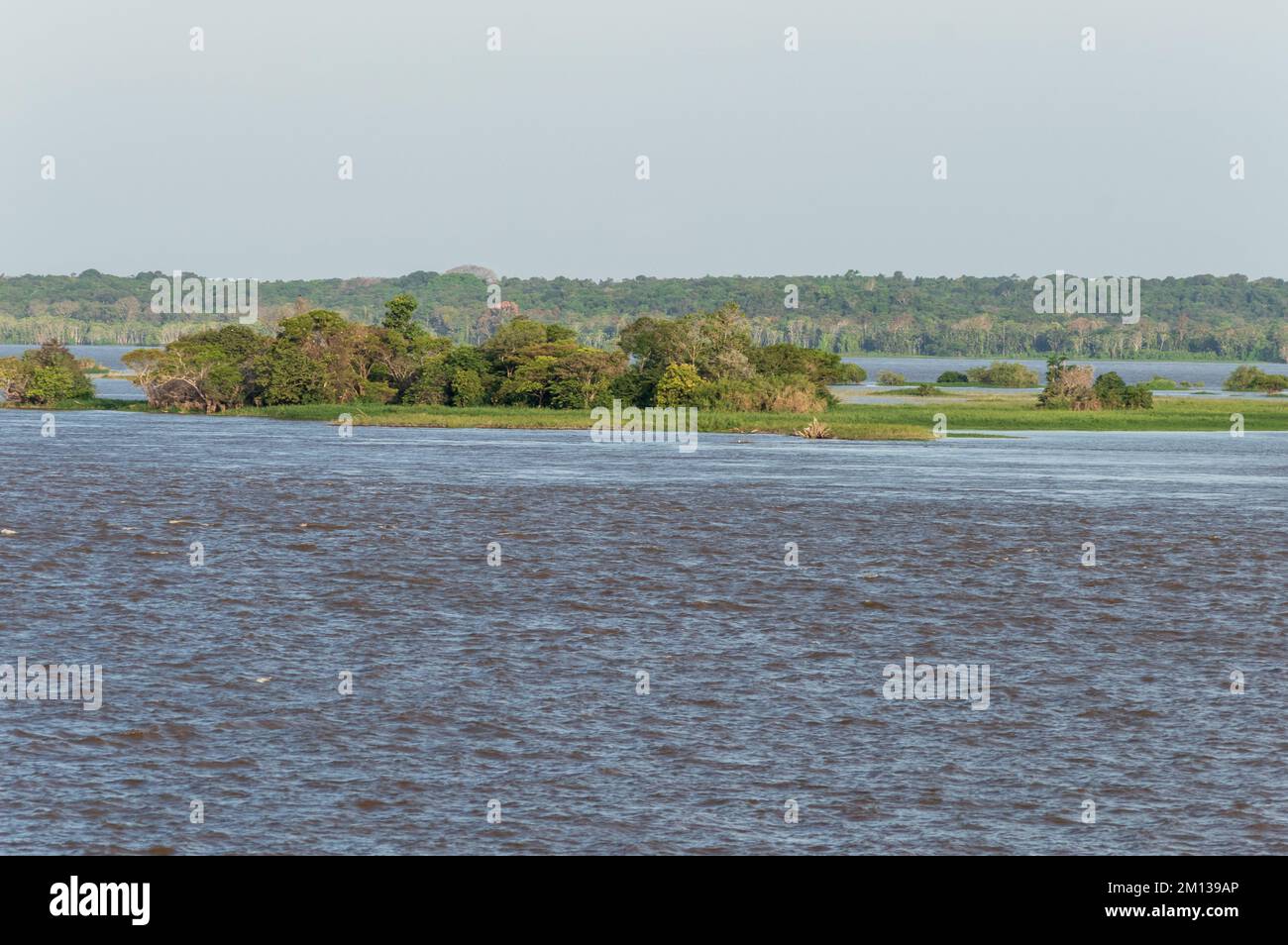 Tropical water landscape of the Rio Amazonas in Brazil seen from a ...