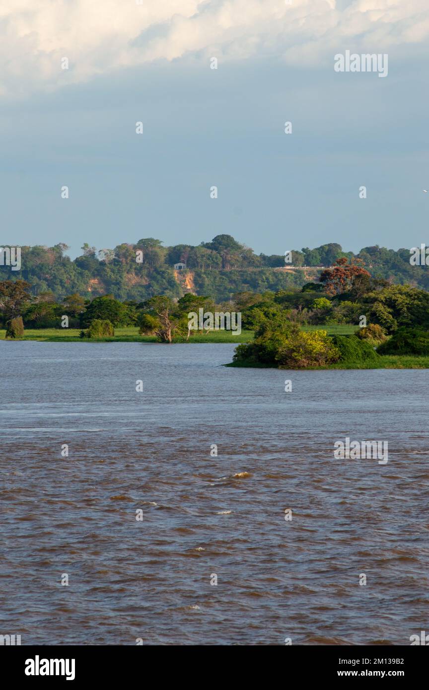 Tropical water landscape of the Rio Amazonas in Brazil seen from a ...