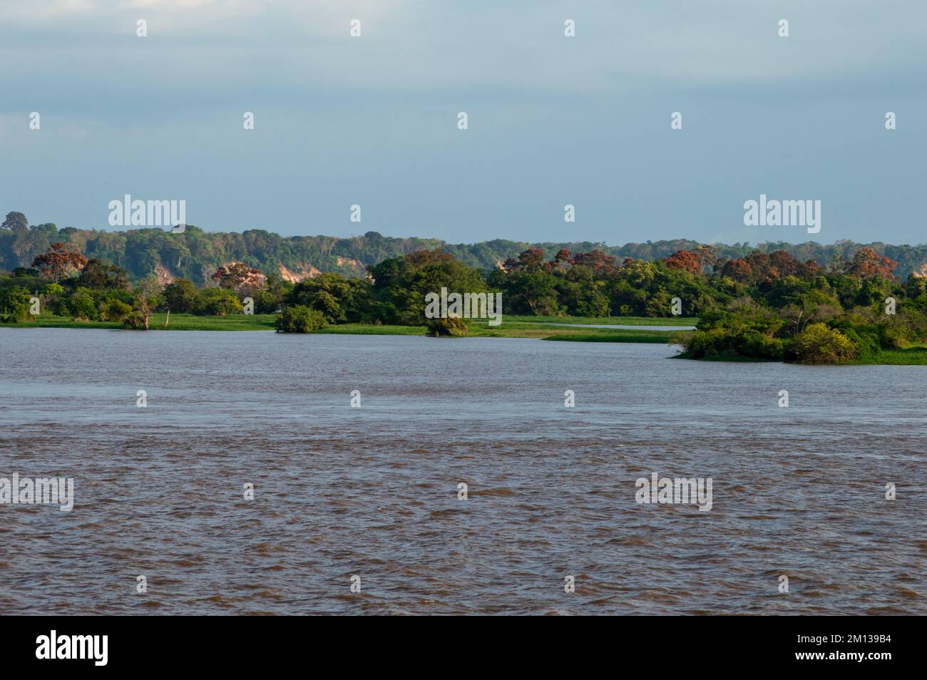 Tropical water landscape of the Rio Amazonas in Brazil seen from a ...