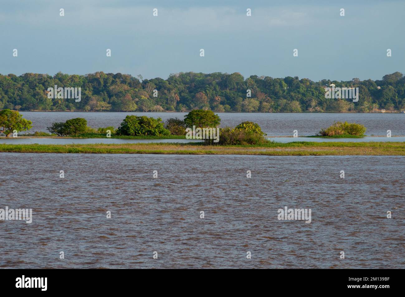 Tropical water landscape of the Rio Amazonas in Brazil seen from a ...