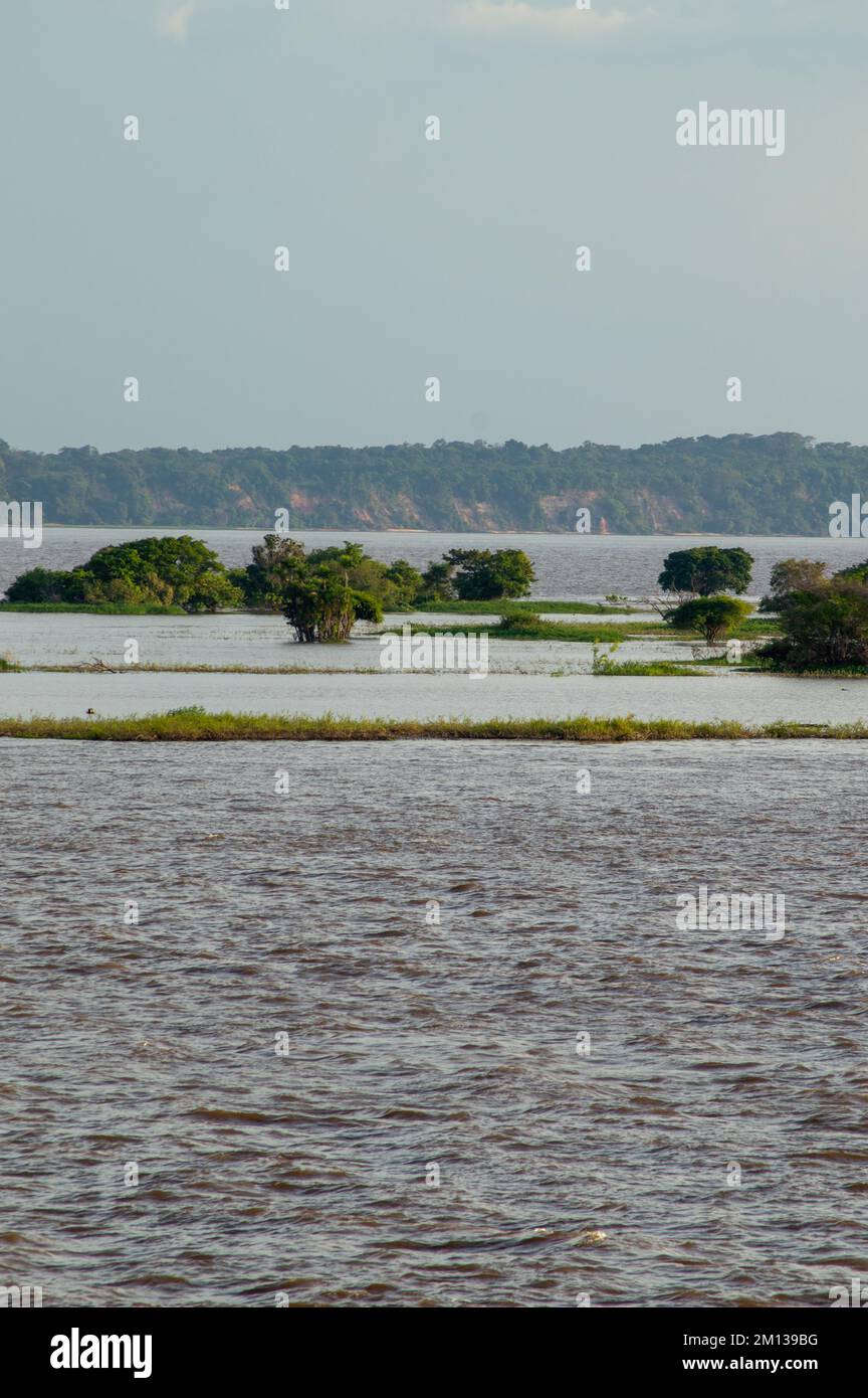 Tropical water landscape of the Rio Amazonas in Brazil seen from a ...