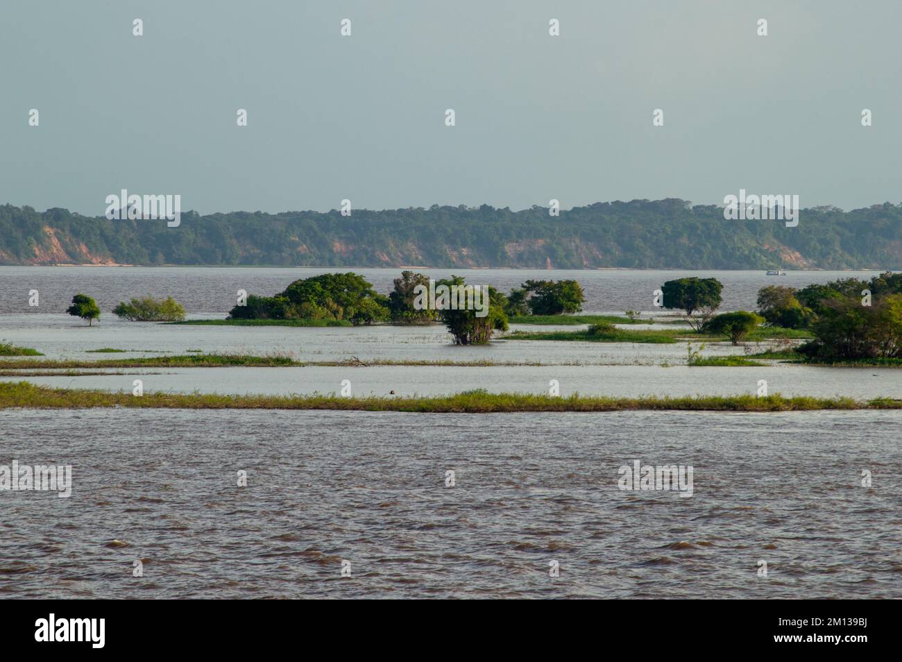 Tropical water landscape of the Rio Amazonas in Brazil seen from a ...