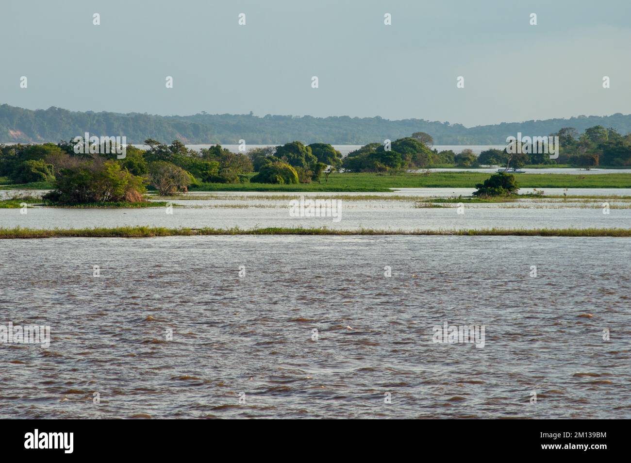 Tropical water landscape of the Rio Amazonas in Brazil seen from a ...