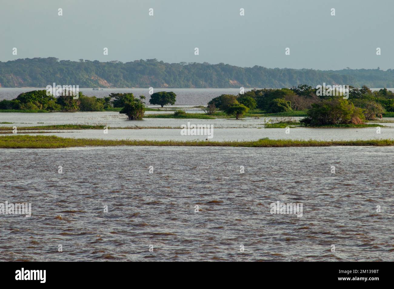 Tropical water landscape of the Rio Amazonas in Brazil seen from a ...