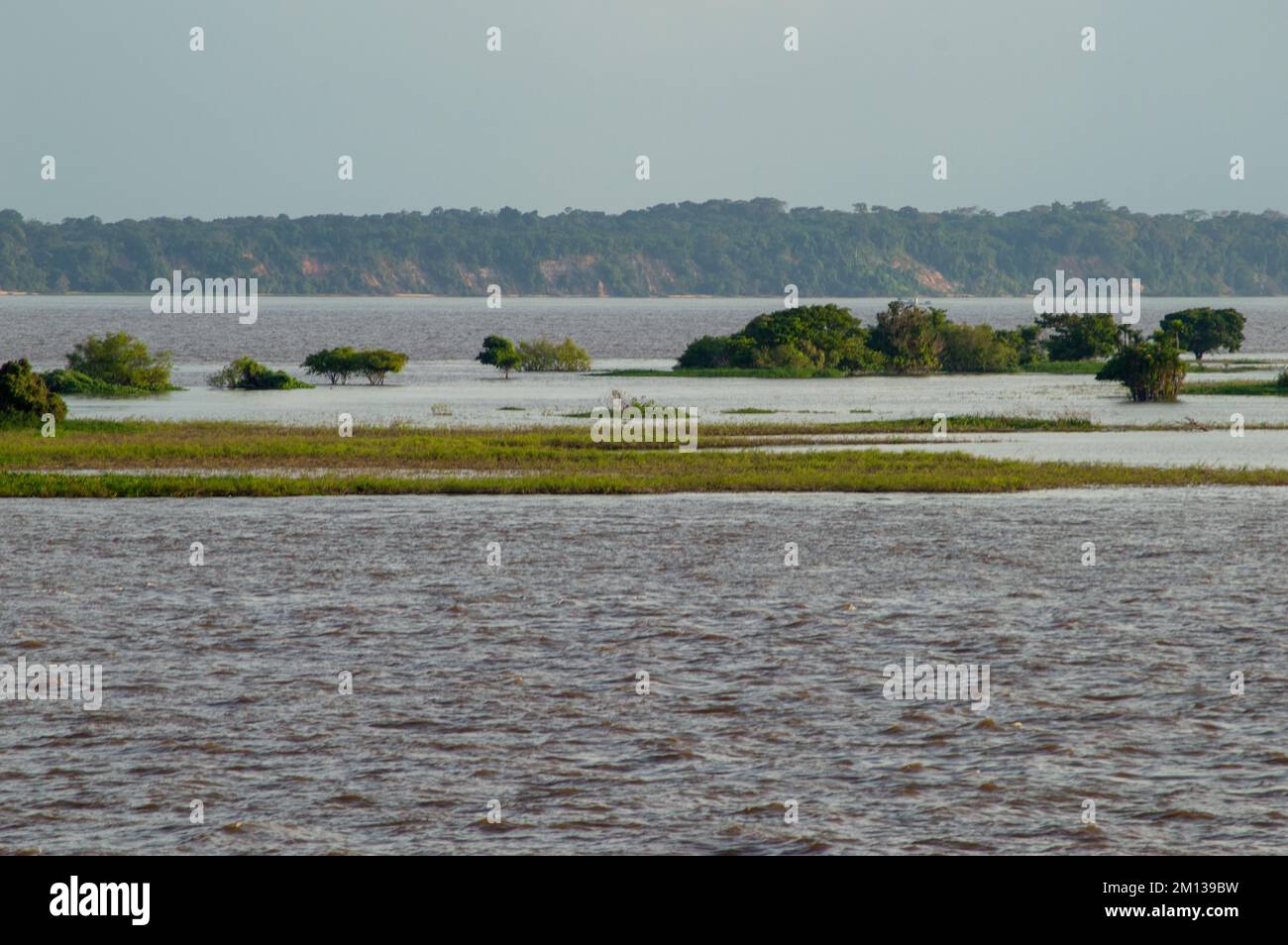 Tropical water landscape of the Rio Amazonas in Brazil seen from a ...