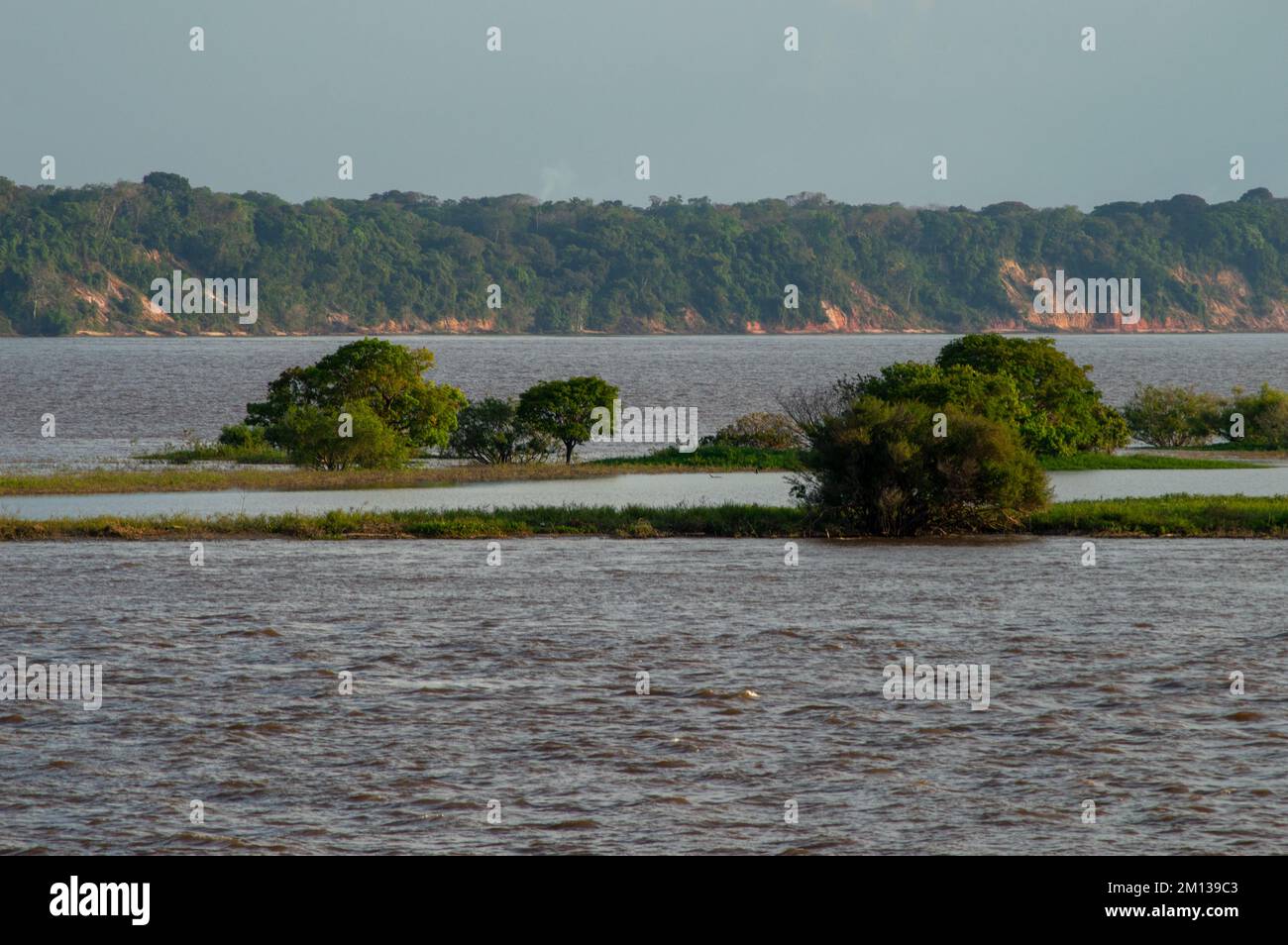 Tropical water landscape of the Rio Amazonas in Brazil seen from a ...