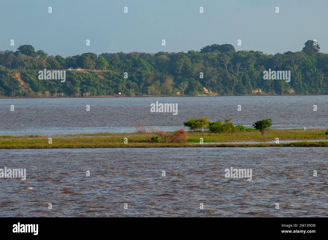 Tropical water landscape of the Rio Amazonas in Brazil seen from a ...