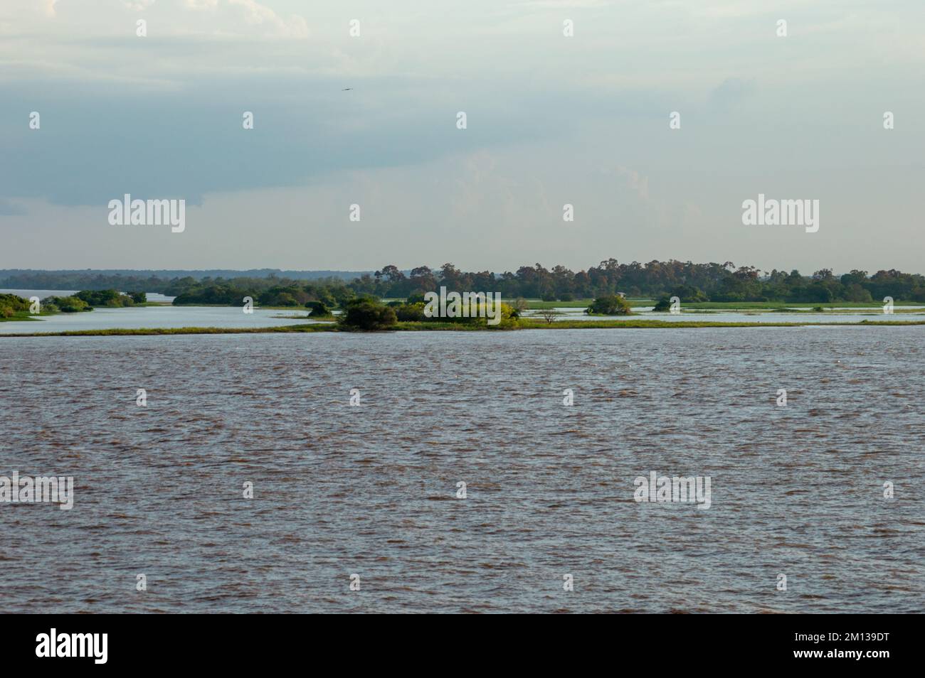 Tropical water landscape of the Rio Amazonas in Brazil seen from a cruise ship during a trip ...