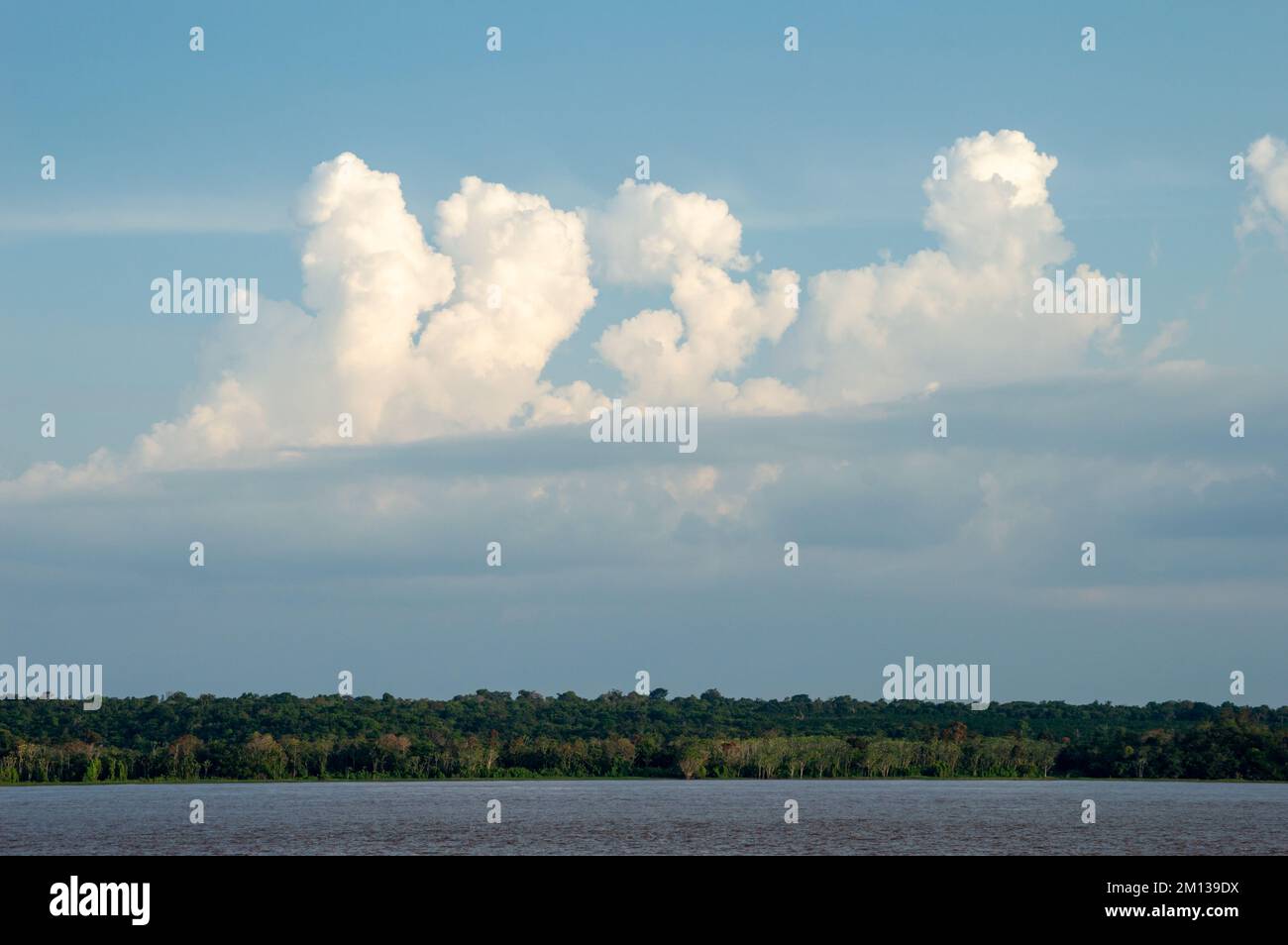 Tropical water landscape of the Rio Amazonas in Brazil seen from a ...