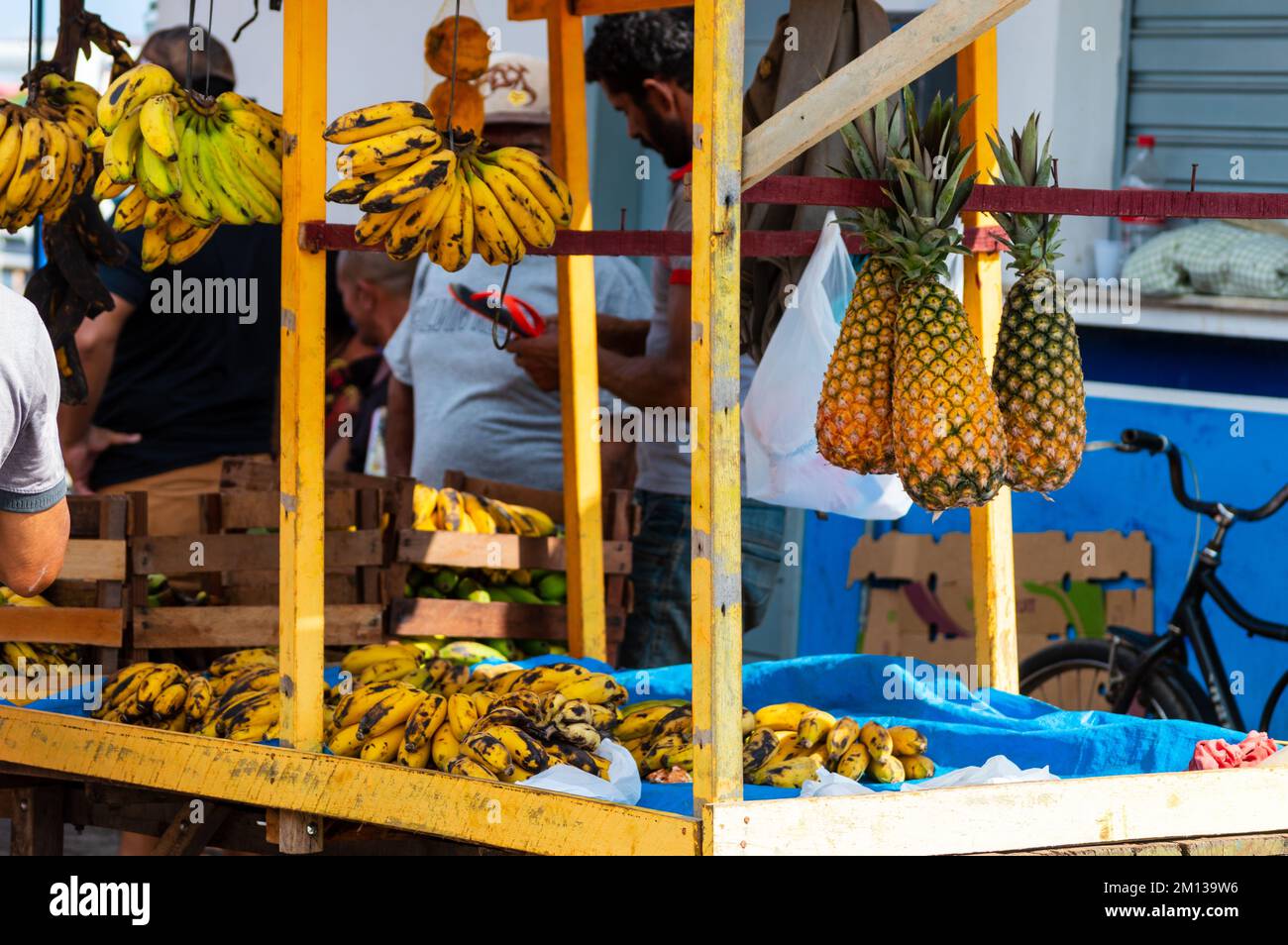 Fruit stall at the public market in Santarem, state of Parà, Brazil ...