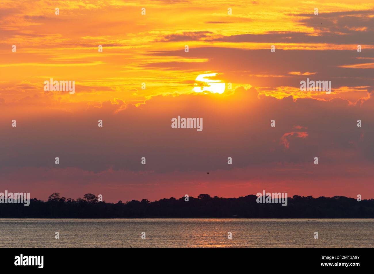 Amazing sunrise on the water of Amazon river in Brazil, nice soft warm ...