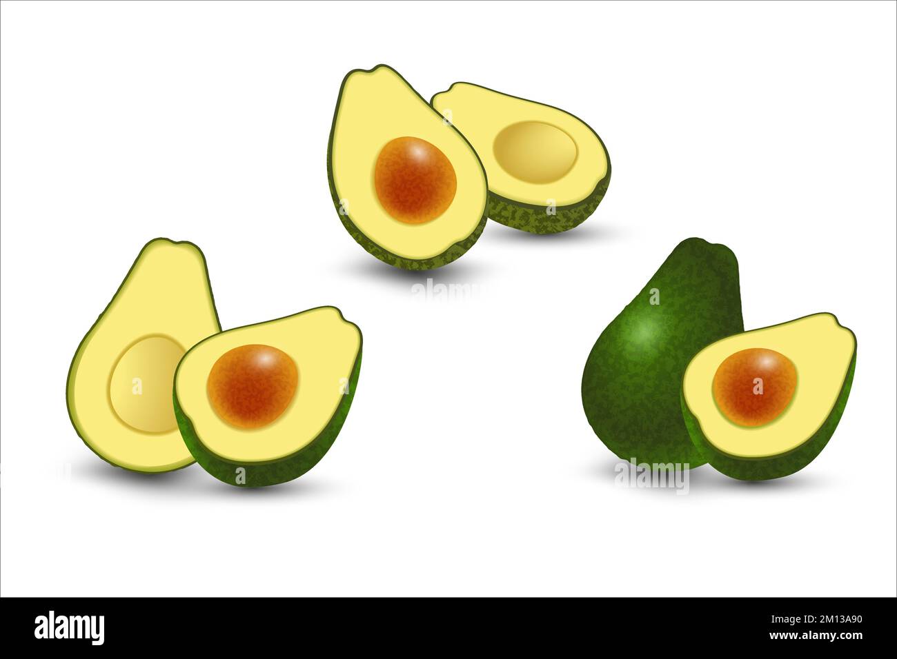 Vector set realistic fresh fruit avocado isolated on white background ...