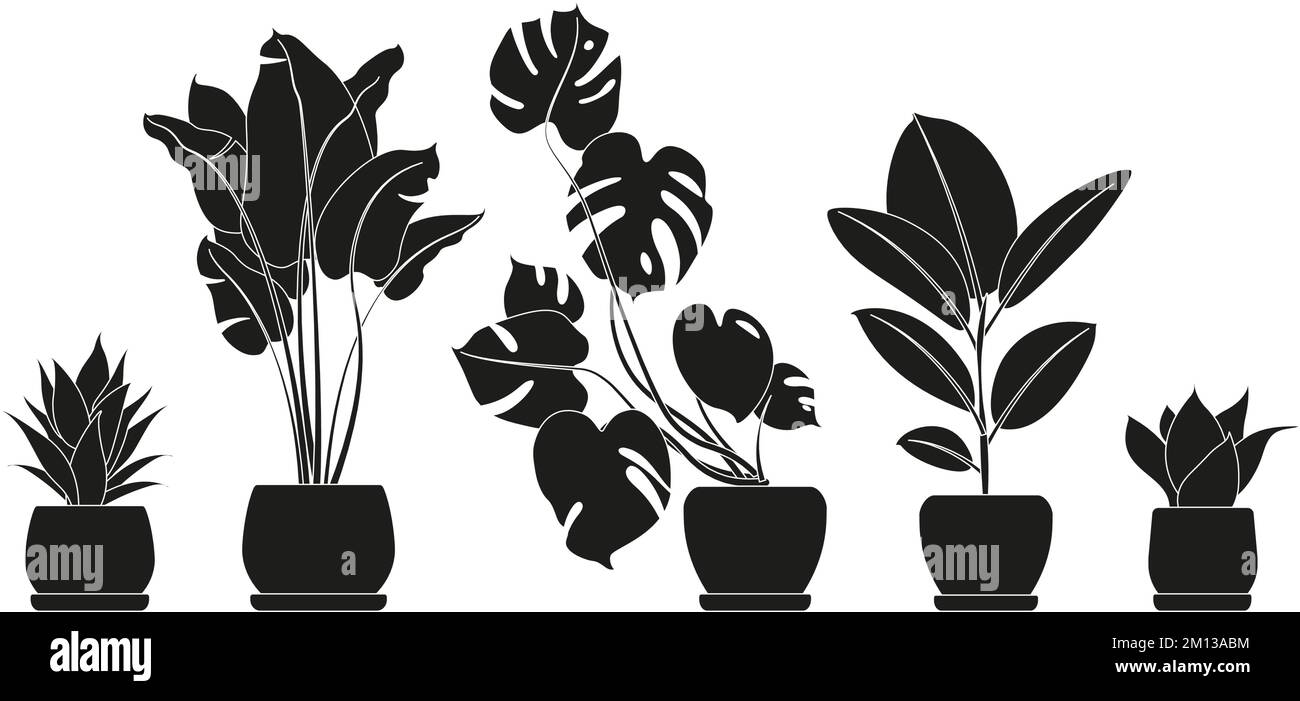 Collection silhouettes of houseplants in black color. Potted plants ...
