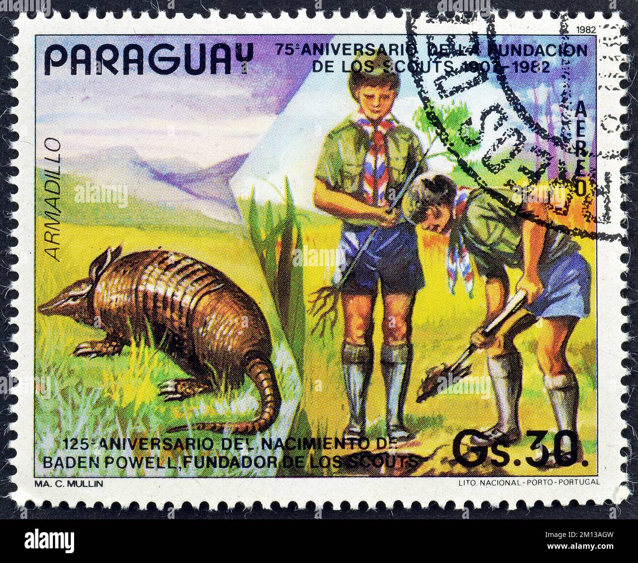 Cancelled postage stamp printed by Paraguay, that shows Seven-banded ...