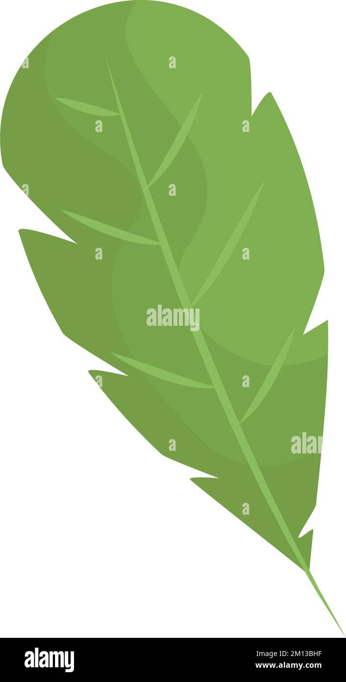 green feather design Stock Vector Image & Art - Alamy
