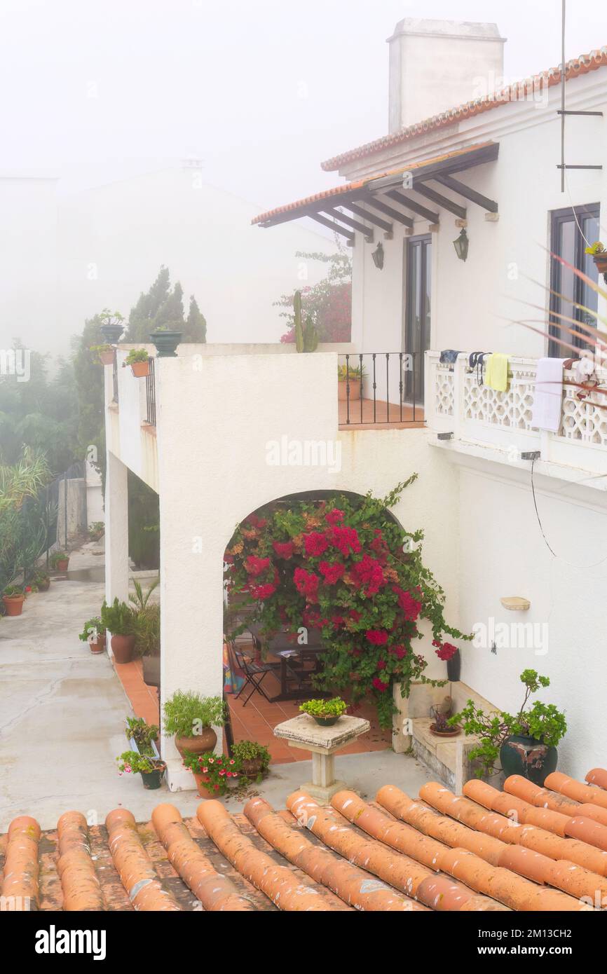 An old beautiful cottage in the rural countryside Stock Photo - Alamy
