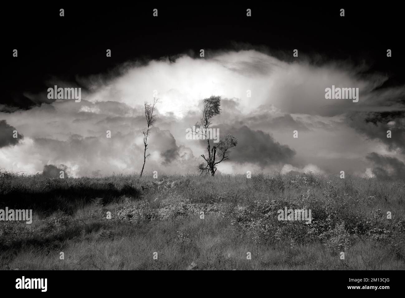 Black and white infrared photograph of a storm over heathland on ...