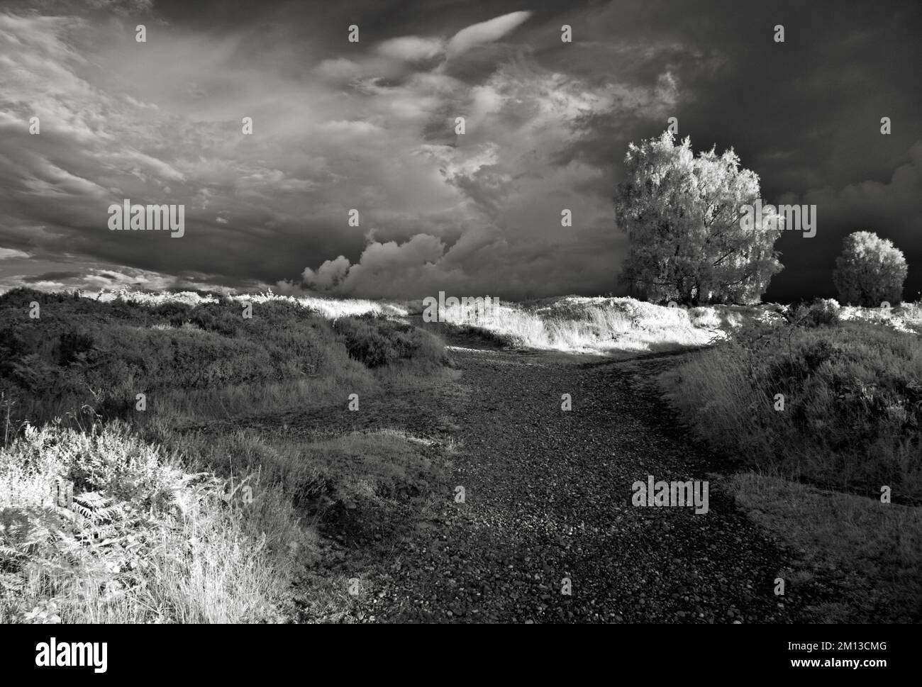 Black and white infrared photograph of gathering storm clouds over the ...