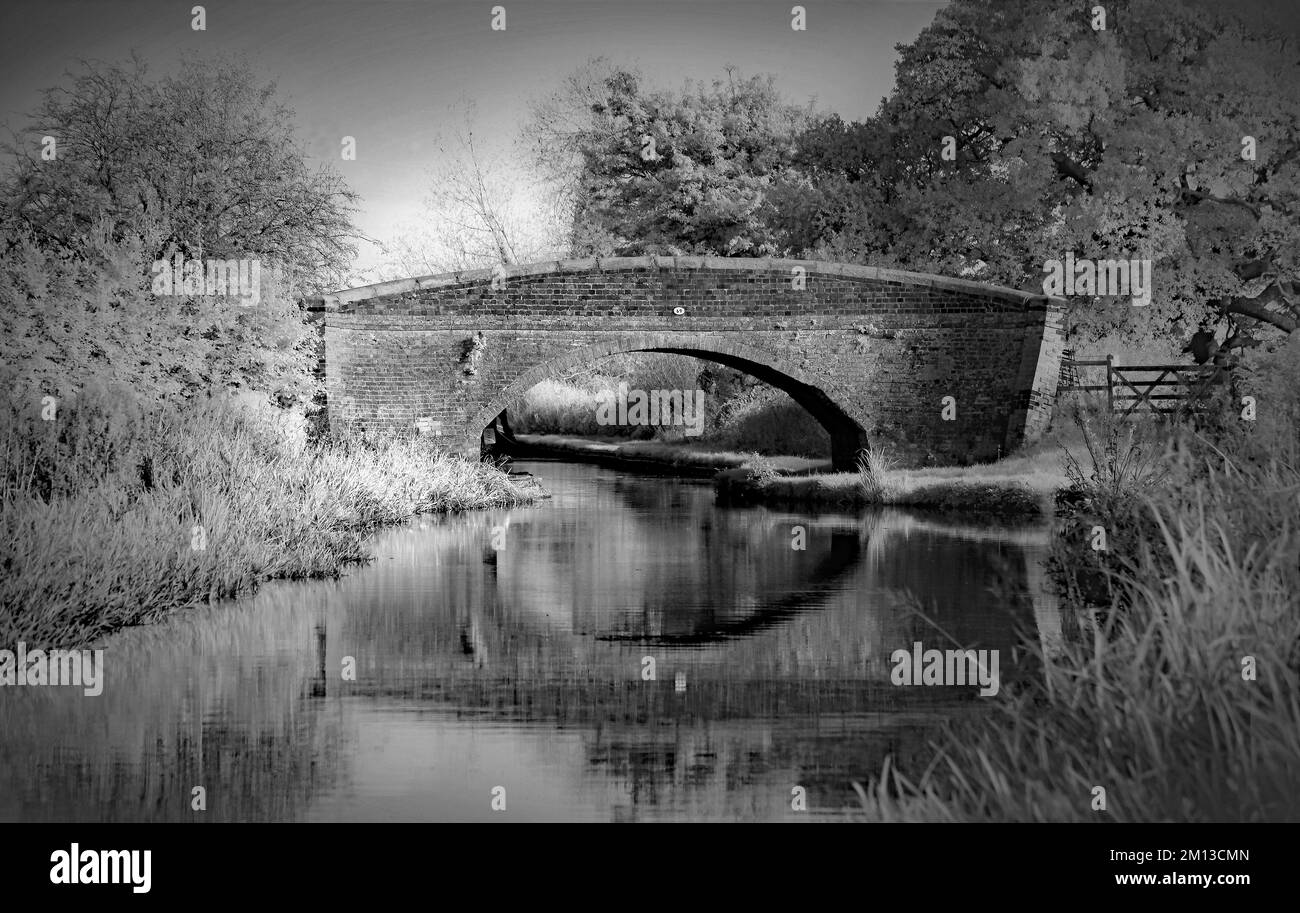 Colour photograph, showing reflections of Brick and Stone Bridge with a ...