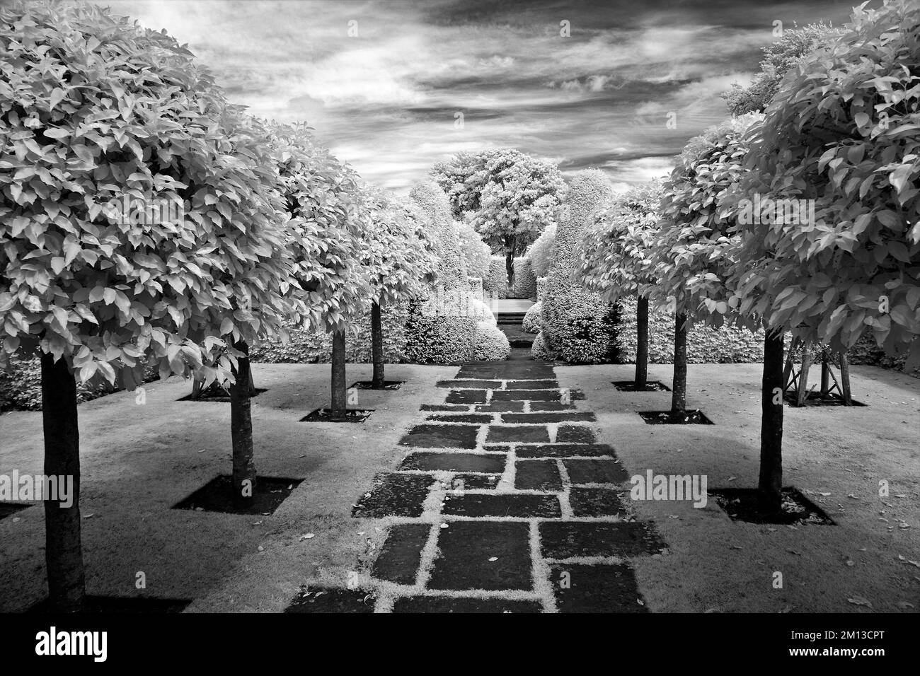 Infrared photograph of a classic English garden, pathway through lawn ...