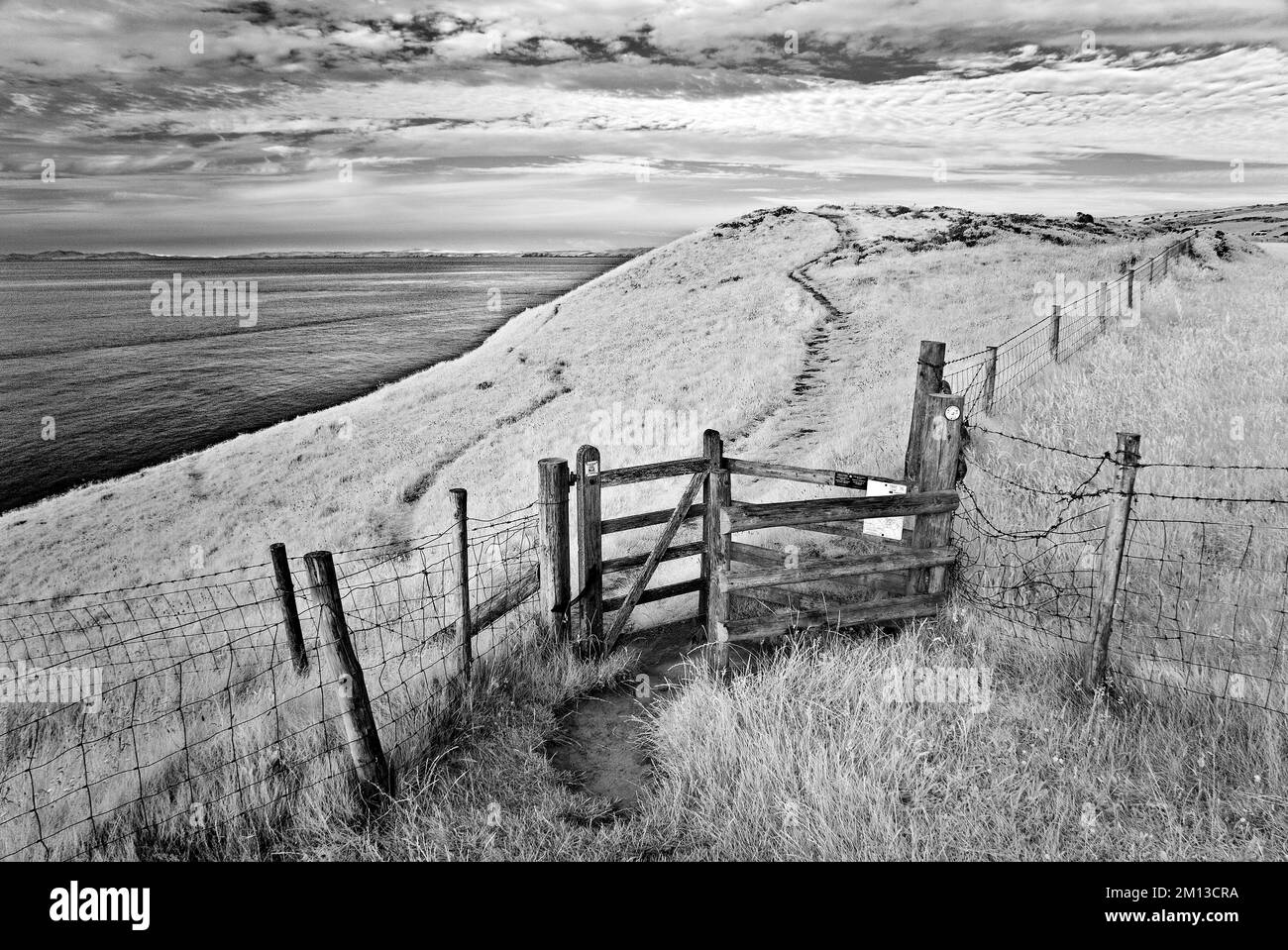 Black and White infrared landscape photograph of Cardigan (ceredigion ...